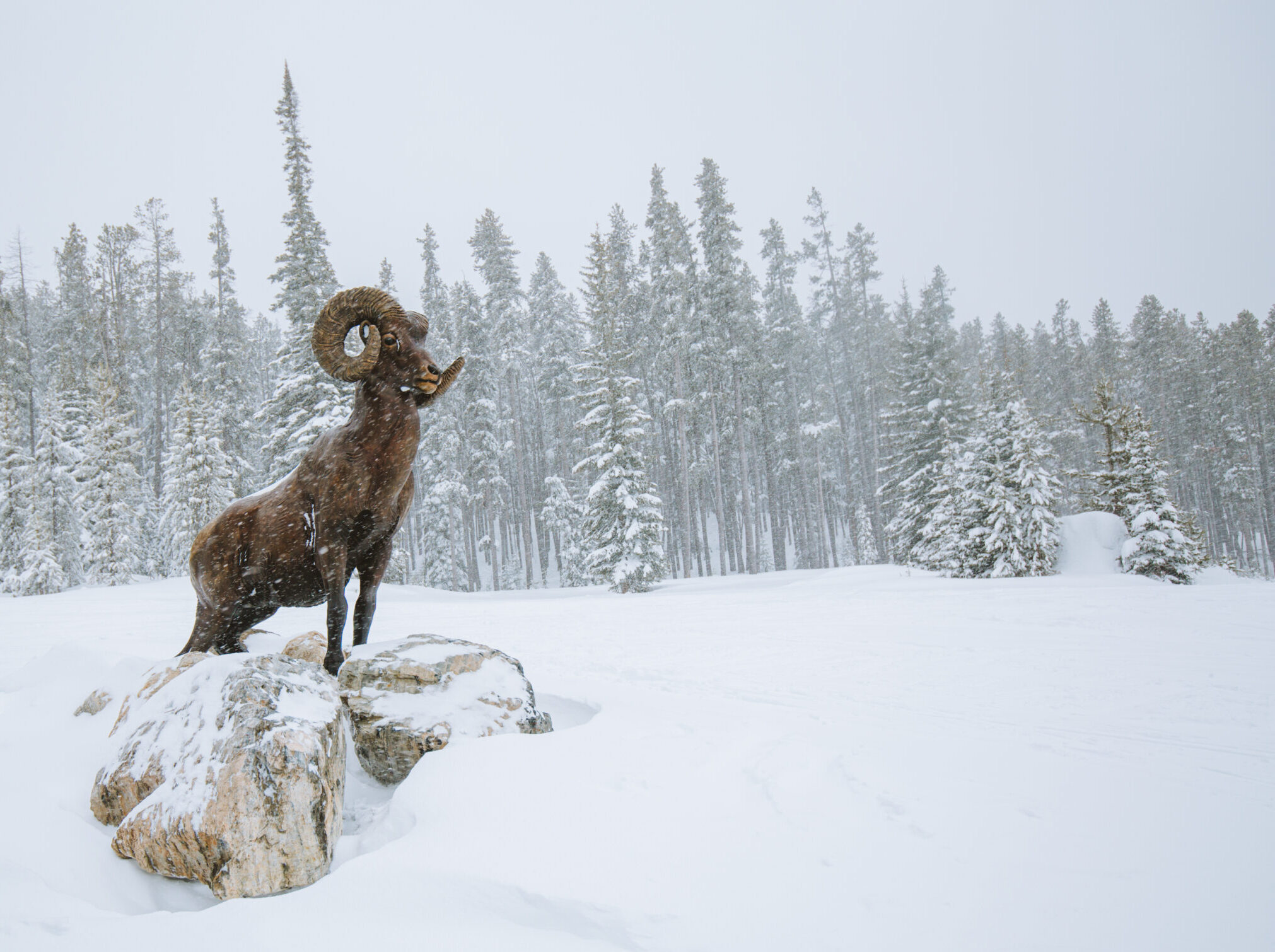 Snow Report – Discovery Ski Area